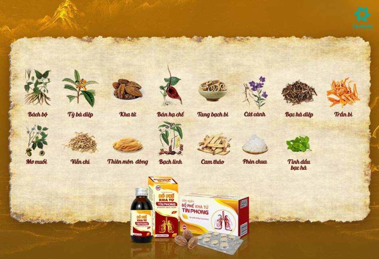 Tang bạch bì - Vị thuốc trị ho hiệu quả