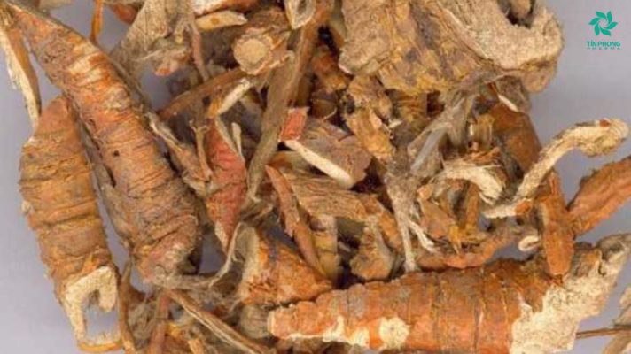 Tang bạch bì - Vị thuốc trị ho hiệu quả