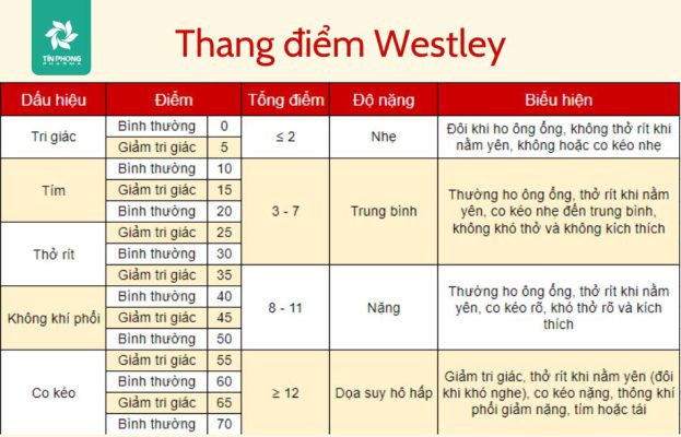 Một số lưu ý quan trọng về viêm thanh khí phế quản ở trẻ